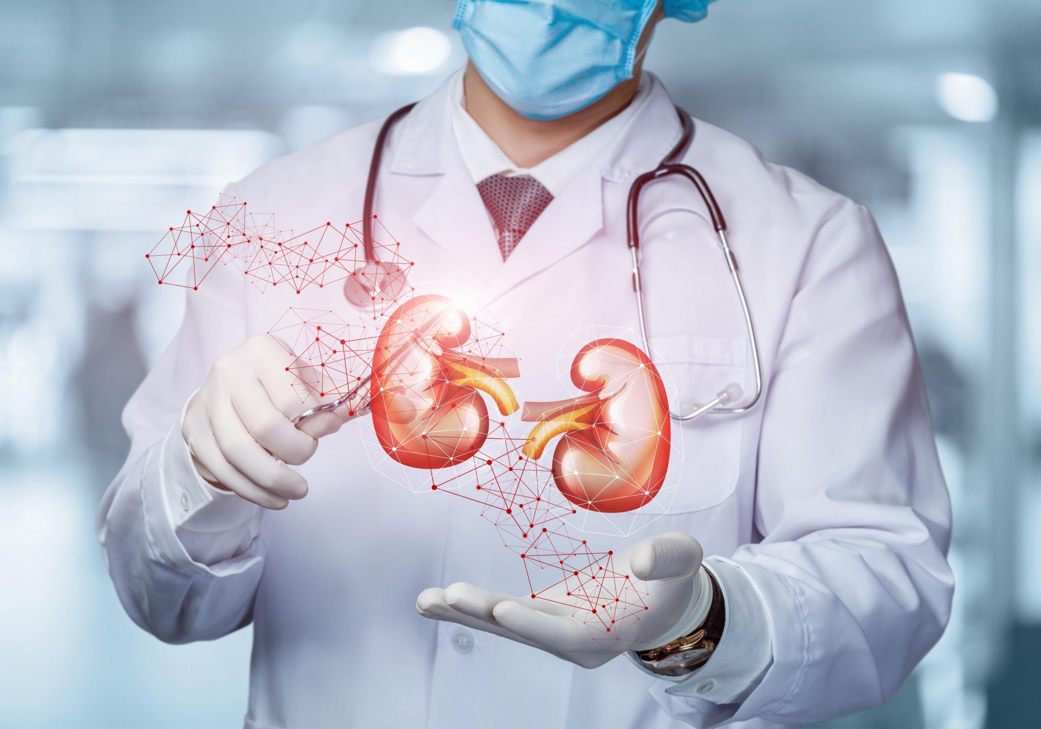 Badania nerek Poznań | neoMedica | Kup online ze zniżką